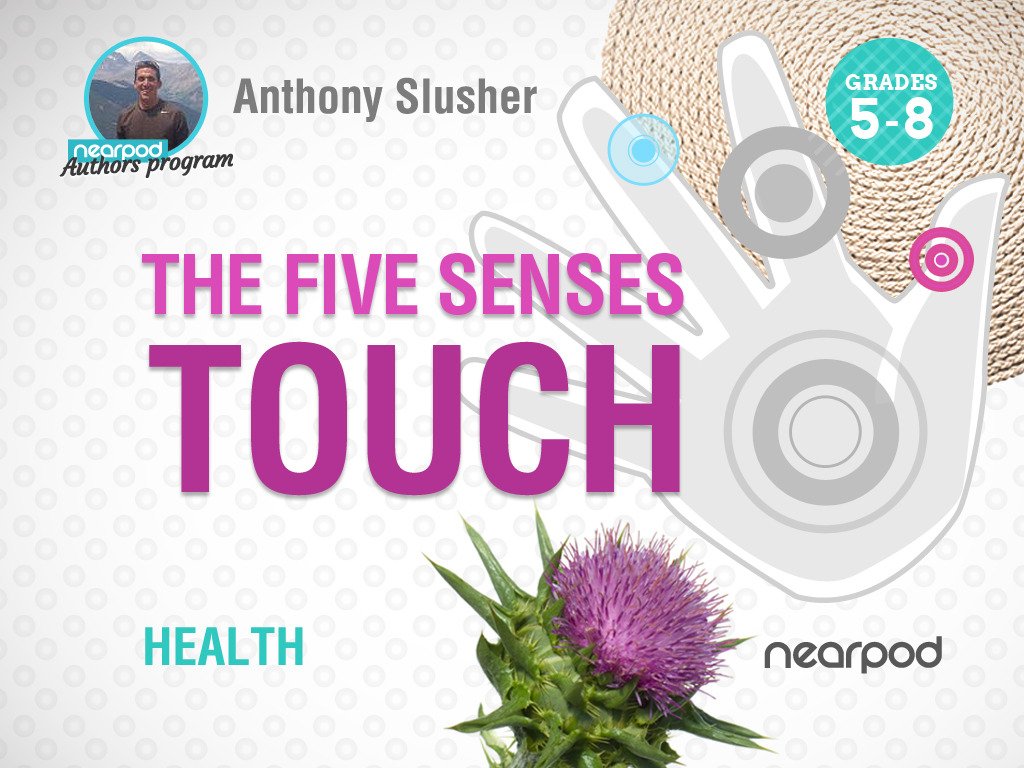 The Five Senses: Touch