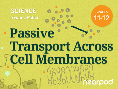 Cell Adaptations for Faster Diffusion