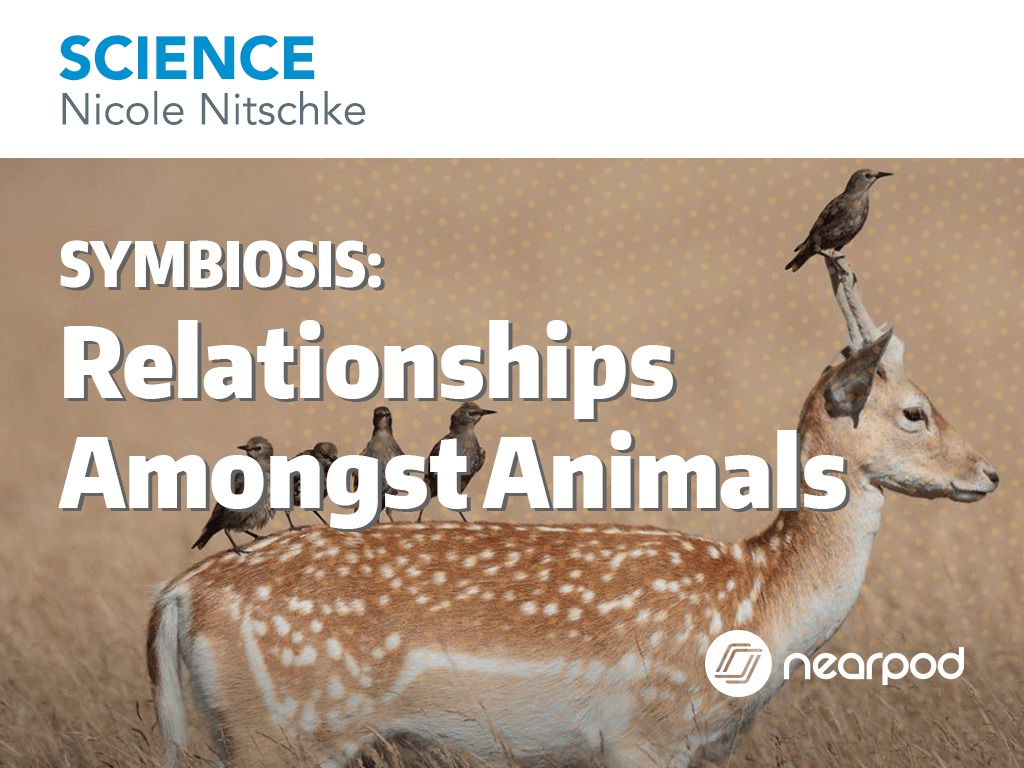 Symbiosis: Relationships Amongst Animals