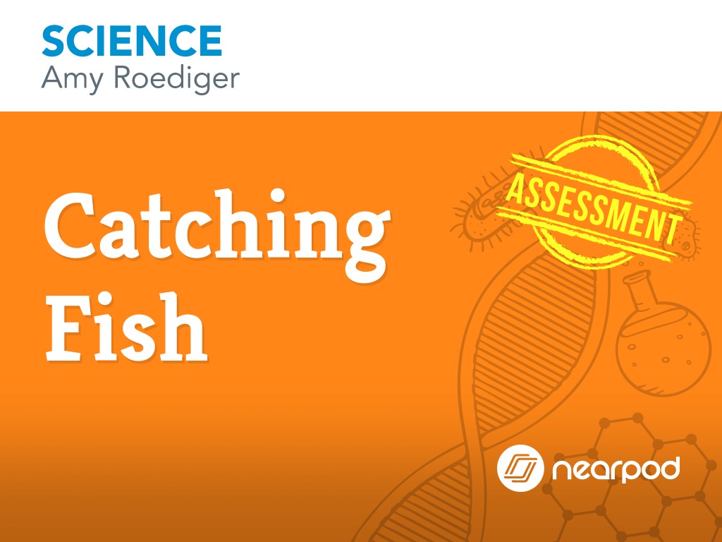 Assessment: Catching Fish