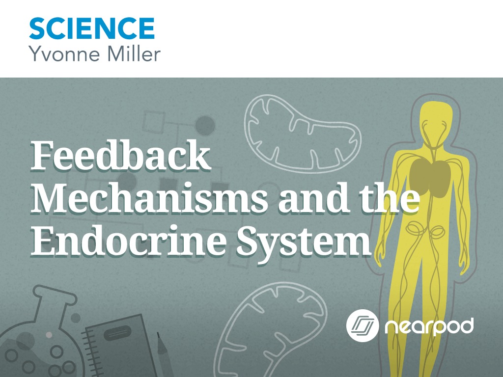 Feedback Mechanisms and the Endocrine System