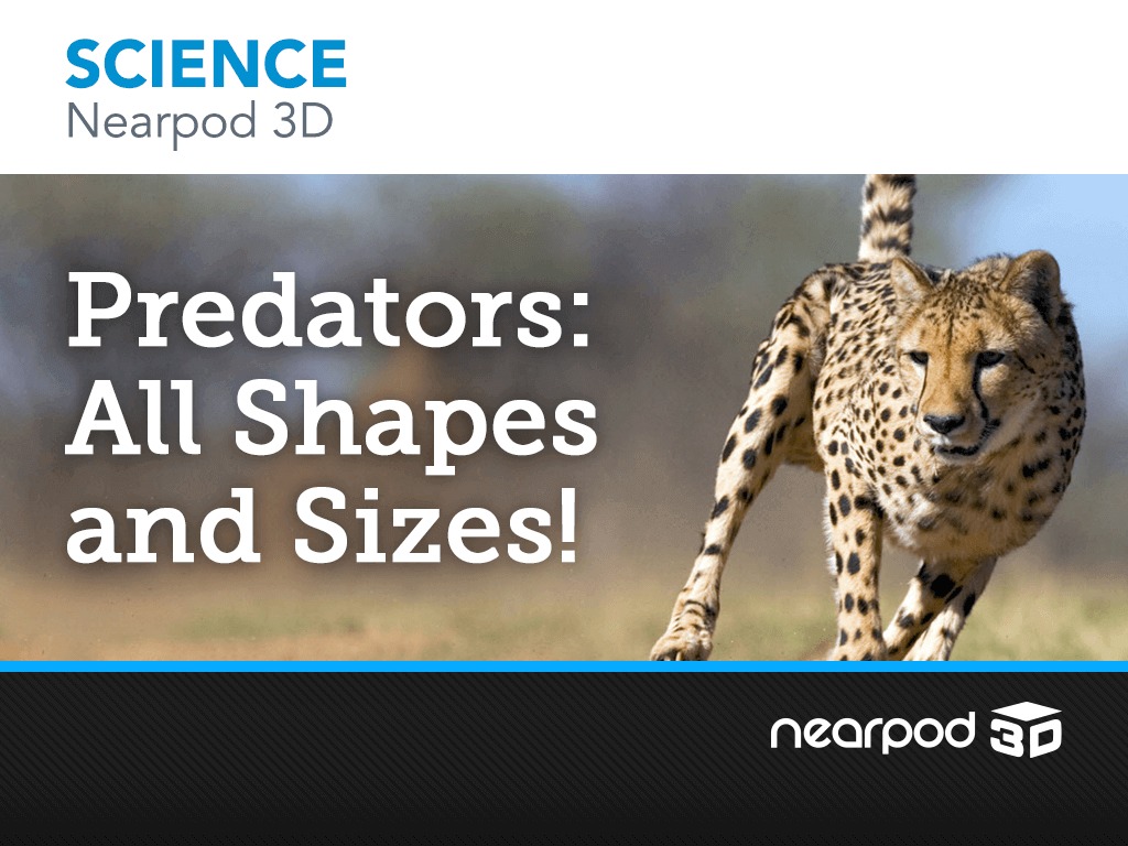 Predators: All Shapes and Sizes!