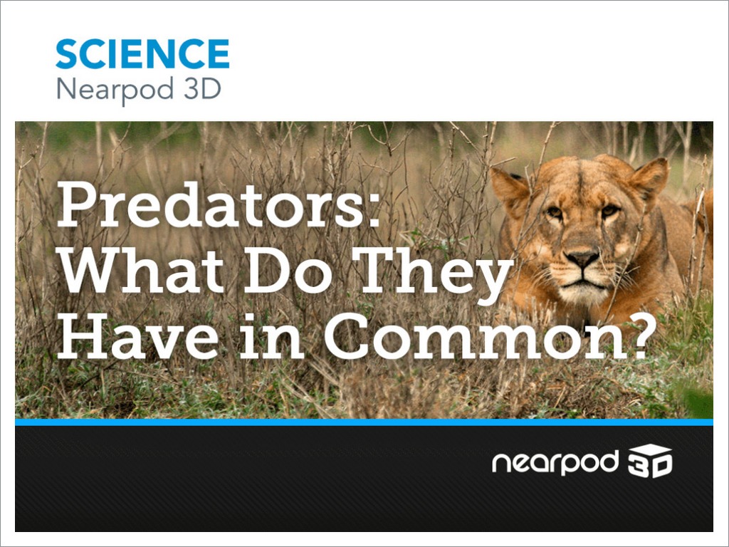 Predators: What Do They Have in Common?