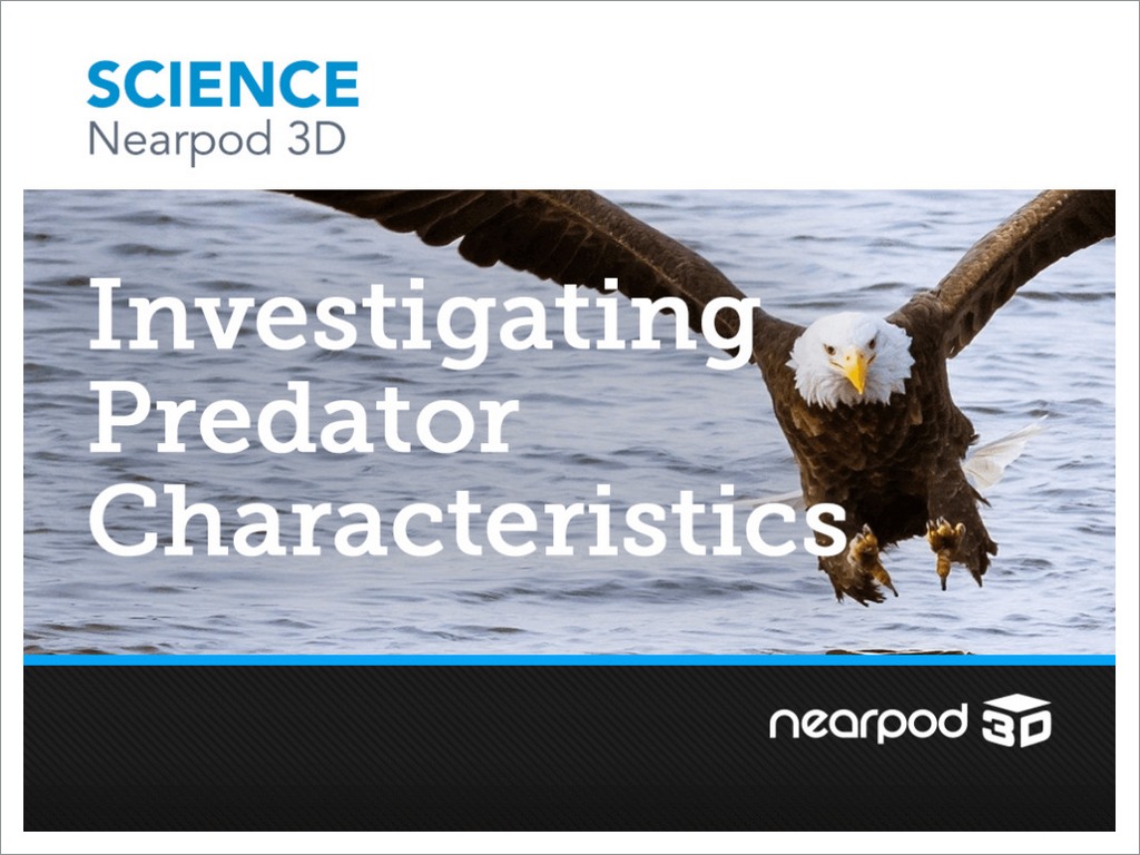 Investigating Predator Characteristics