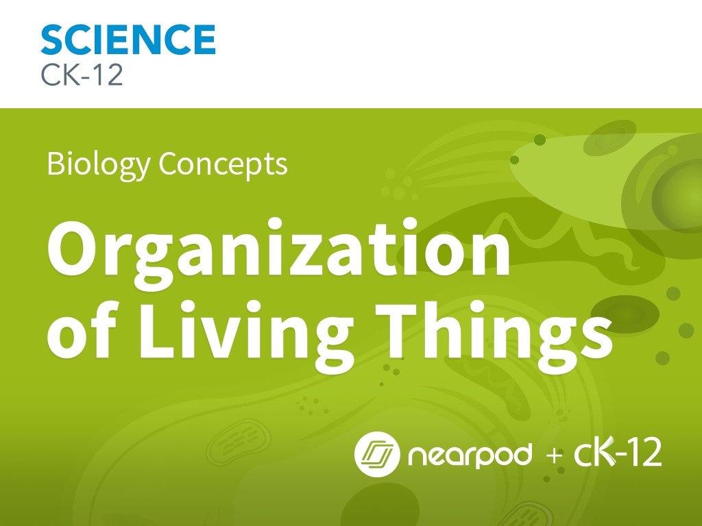 Organization of Living Things