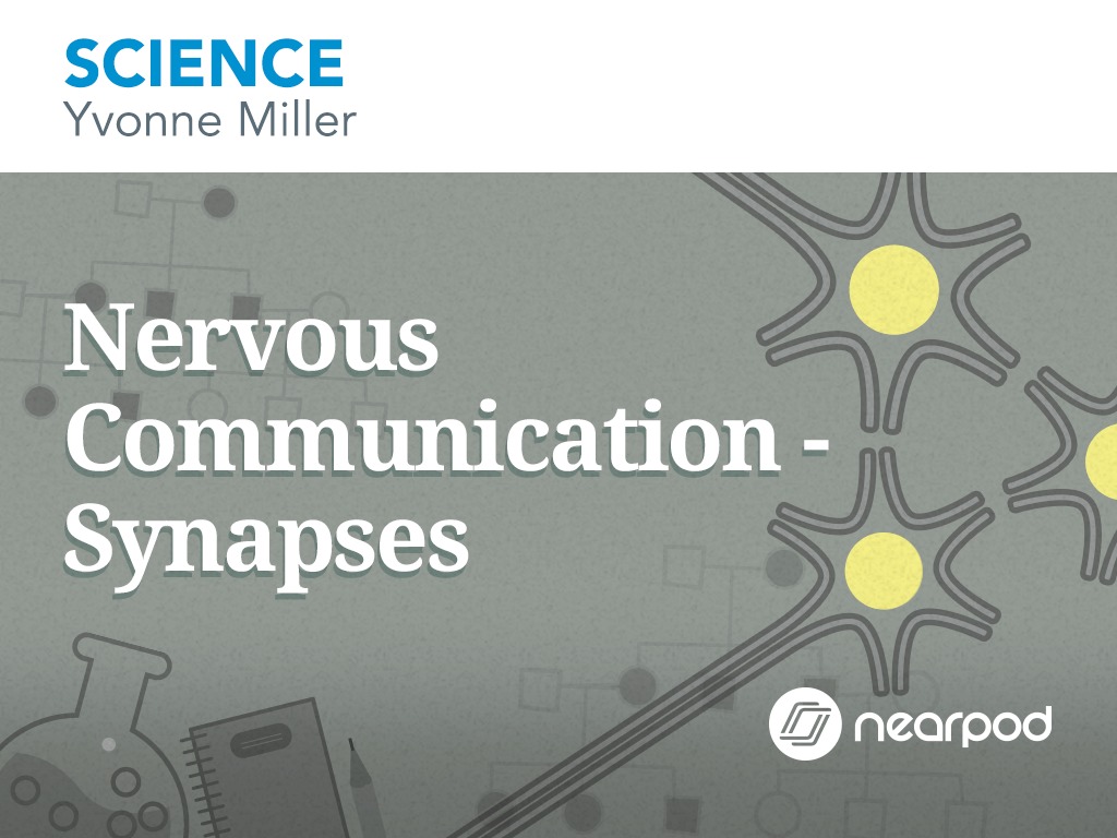 Nervous Communication- Synapses