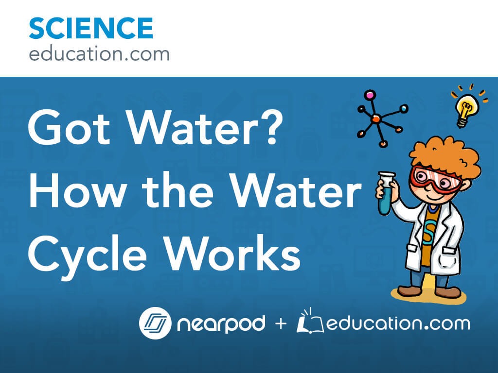 Got Water? How the Water Cycle Works