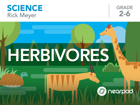 How Do Seeds Travel?