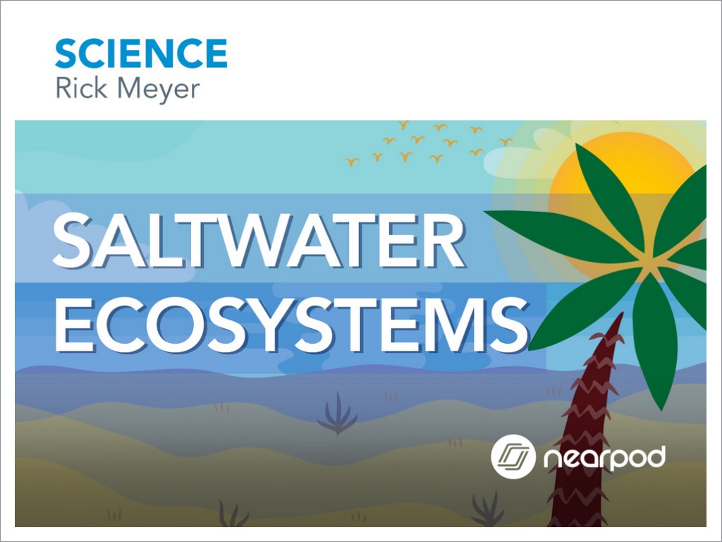 Saltwater Ecosystems