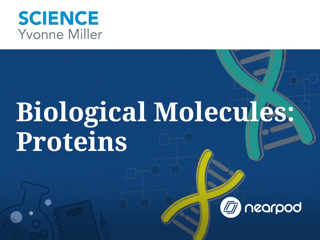 Biological molecules - Proteins