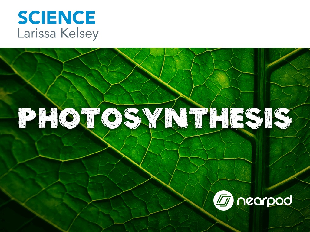 Photosynthesis