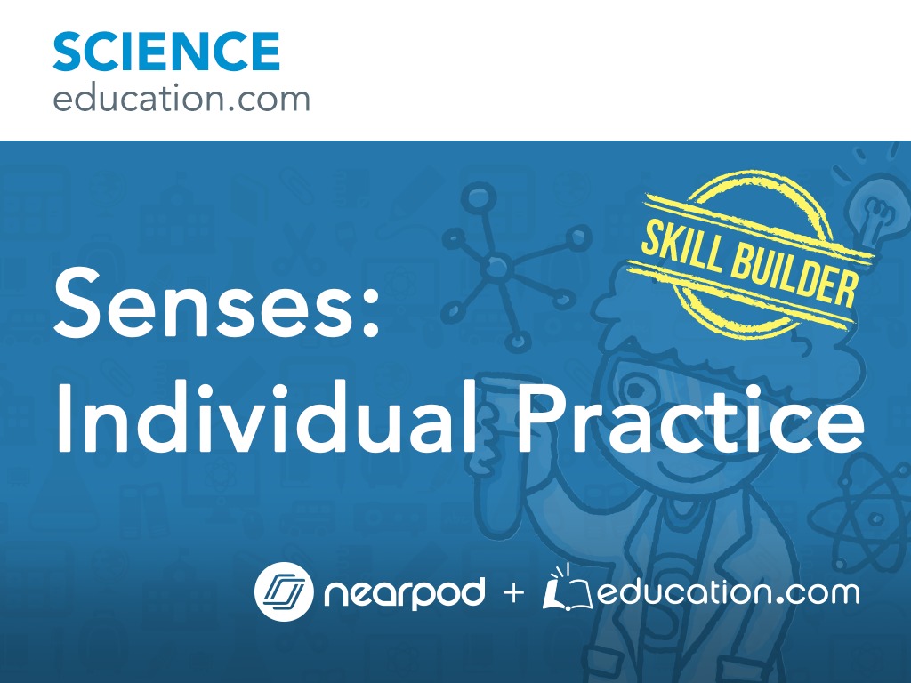 Senses: Individual Practice