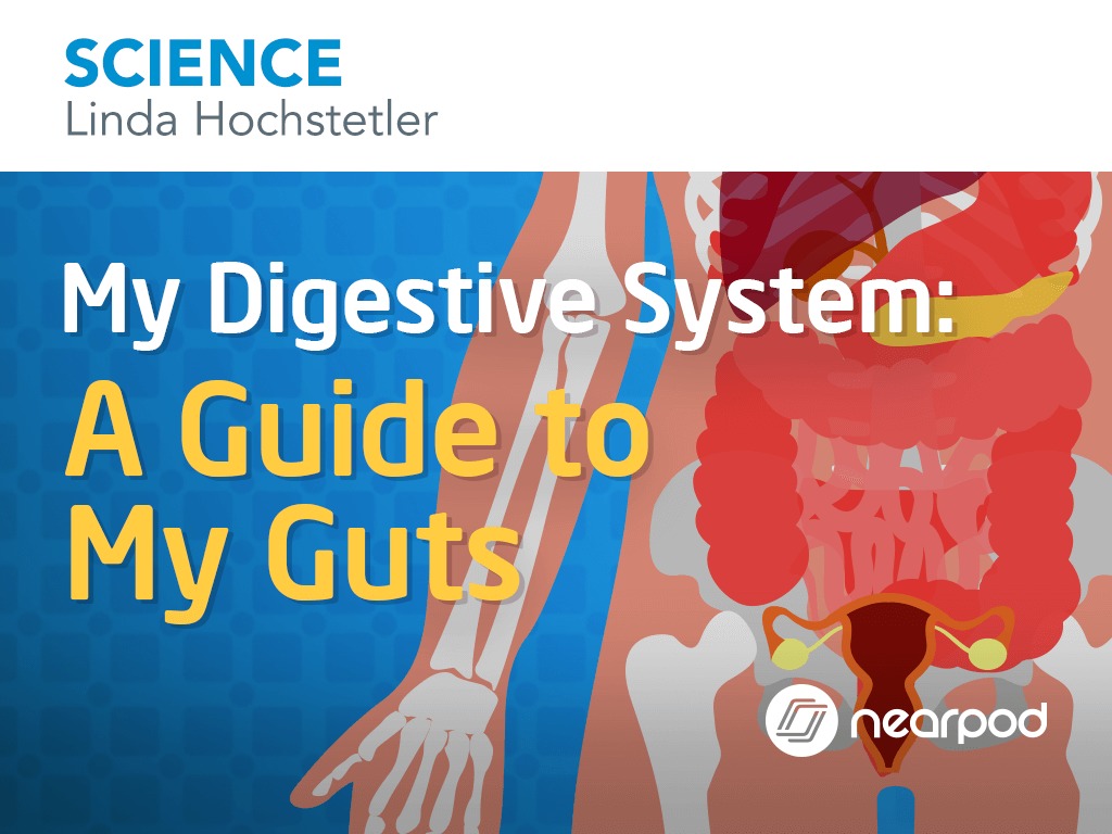 My Digestive System:A Guide to My Guts